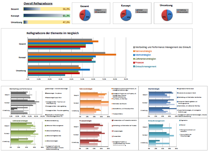 15M-Strategy-Scan mit Reifegradbewertung | Beschaffungsstrategie